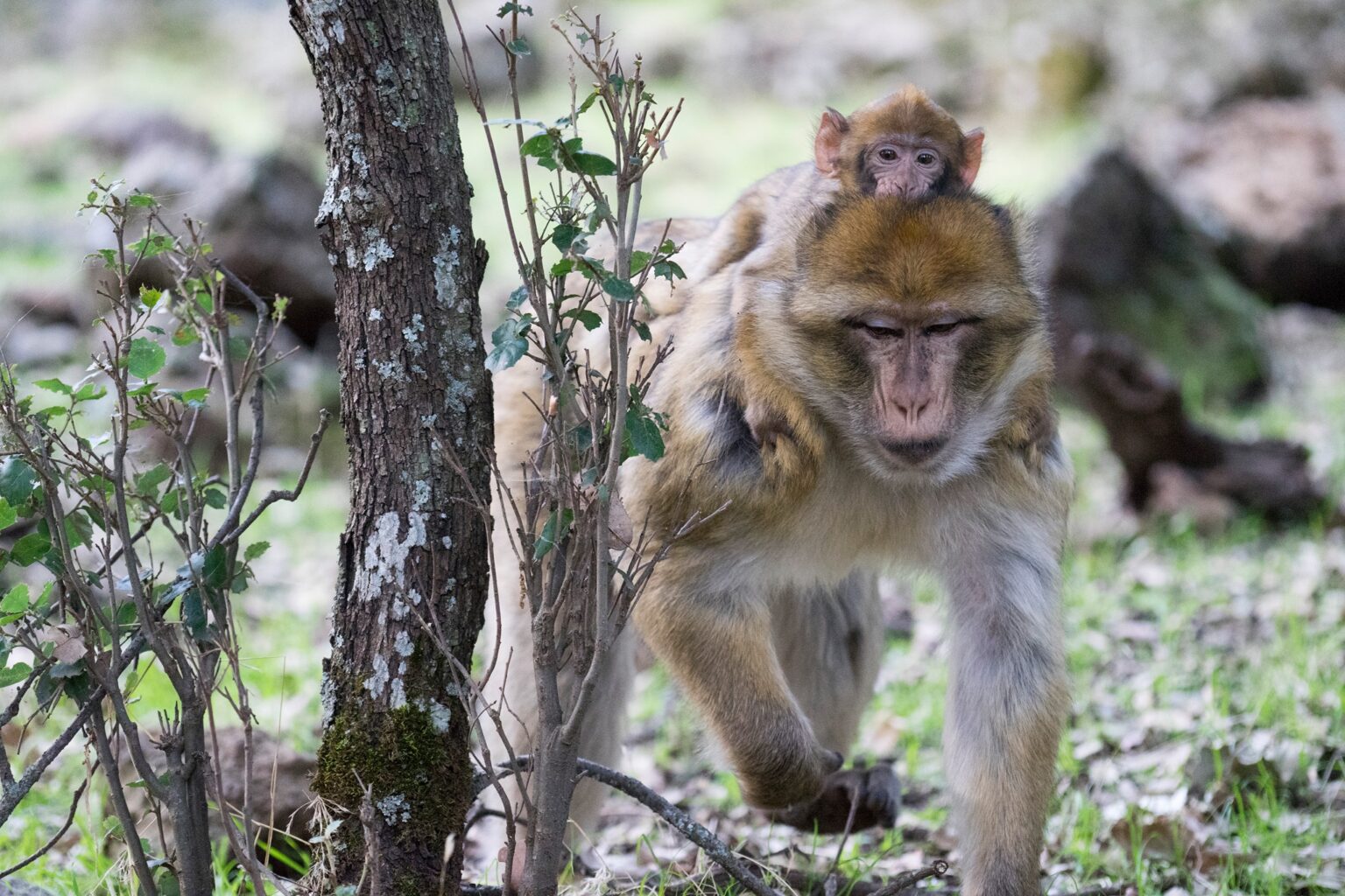 1 de Septiembre: Mucho que reflexionar en el Día Internacional del ...