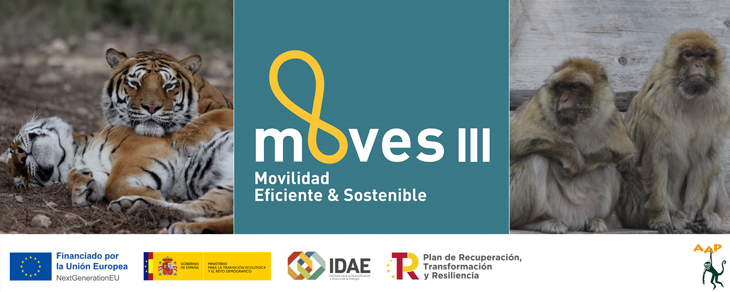El trabajo de AAP apoyado por el Programa MOVES III - AAP Español